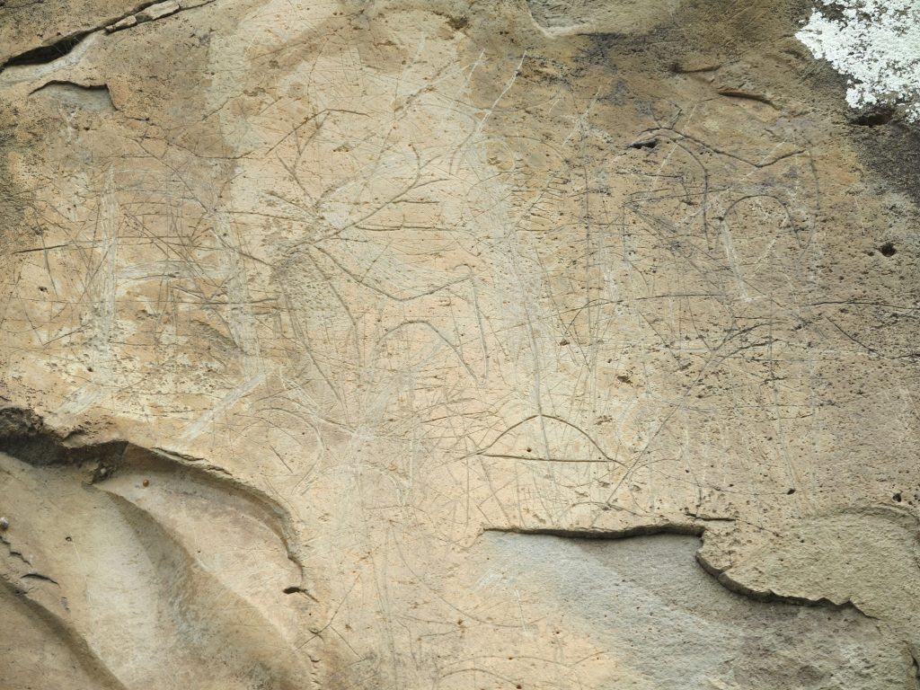 Proyecto sobre arte rupestre en Georgia - Cesga - Centro de ...