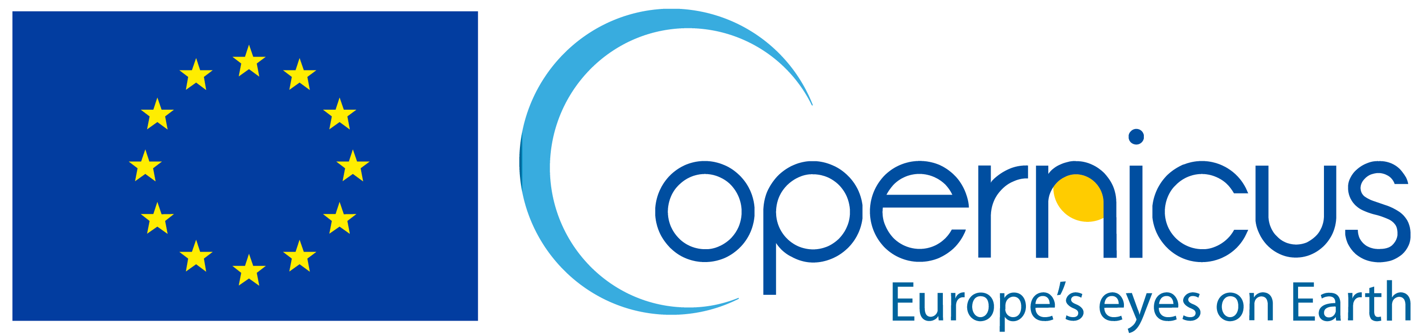Nicolaus Copernicus Logo